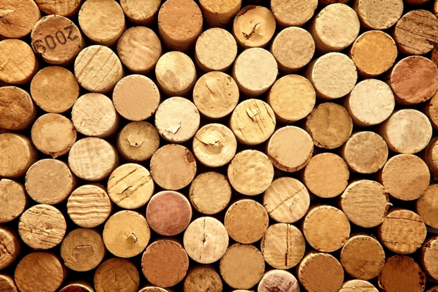 Explore the assortment